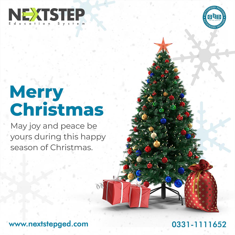 NextStep Education System – Dings-co Advertising - Power House for Digital Marketing Solutions